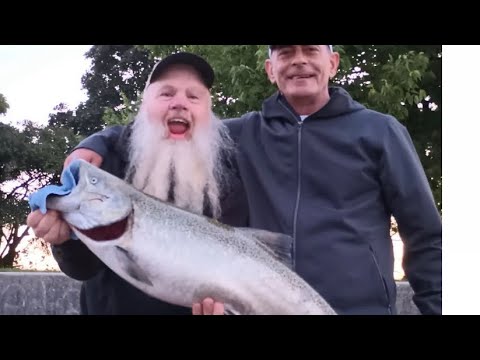 Guess who caught the August king?! - YouTube