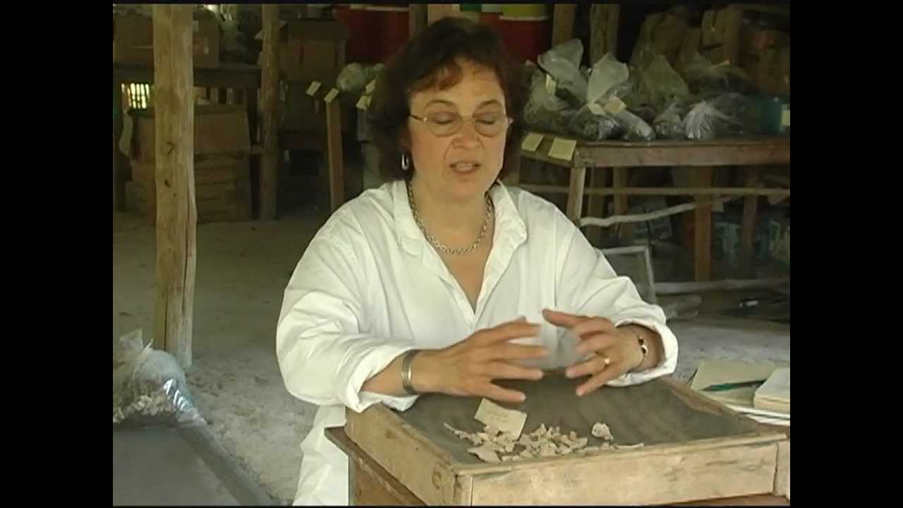 Diane Chase discusses bone archaeology in Caracol, Belize - YouTube