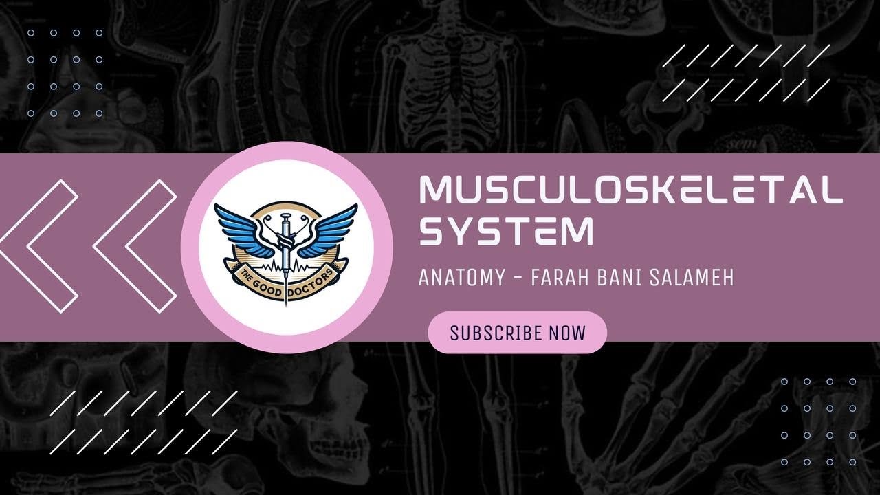 Lec 14 & 15 & 5 P2 - Muscle of forearm and hand : Anatomy - YouTube