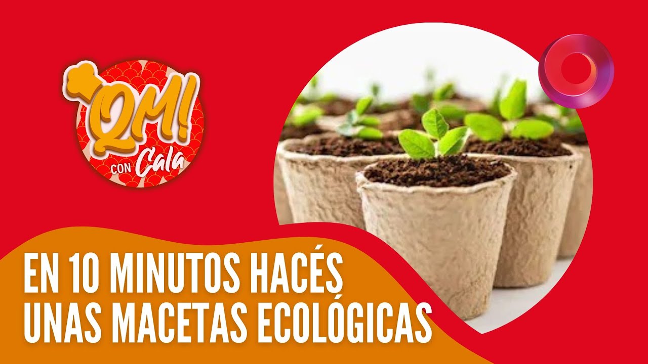Macetas biodegradables ¡es posible! - YouTube
