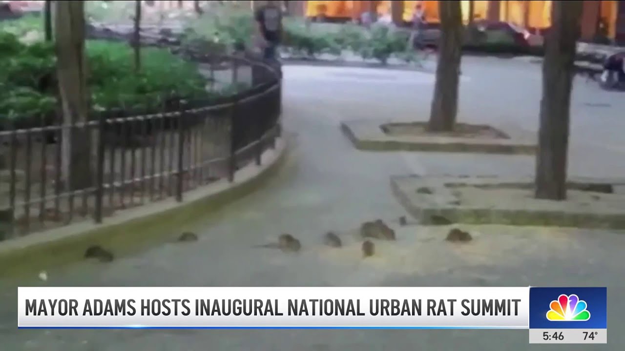 First-ever national city rat summit hosted by NYC Mayor Eric Adams ...