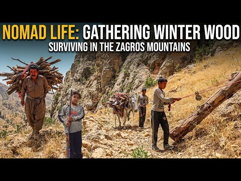 🏔️ Real life of nomads | A difficult journey to collect firewood in the Zagros Mountains 🪵🐴