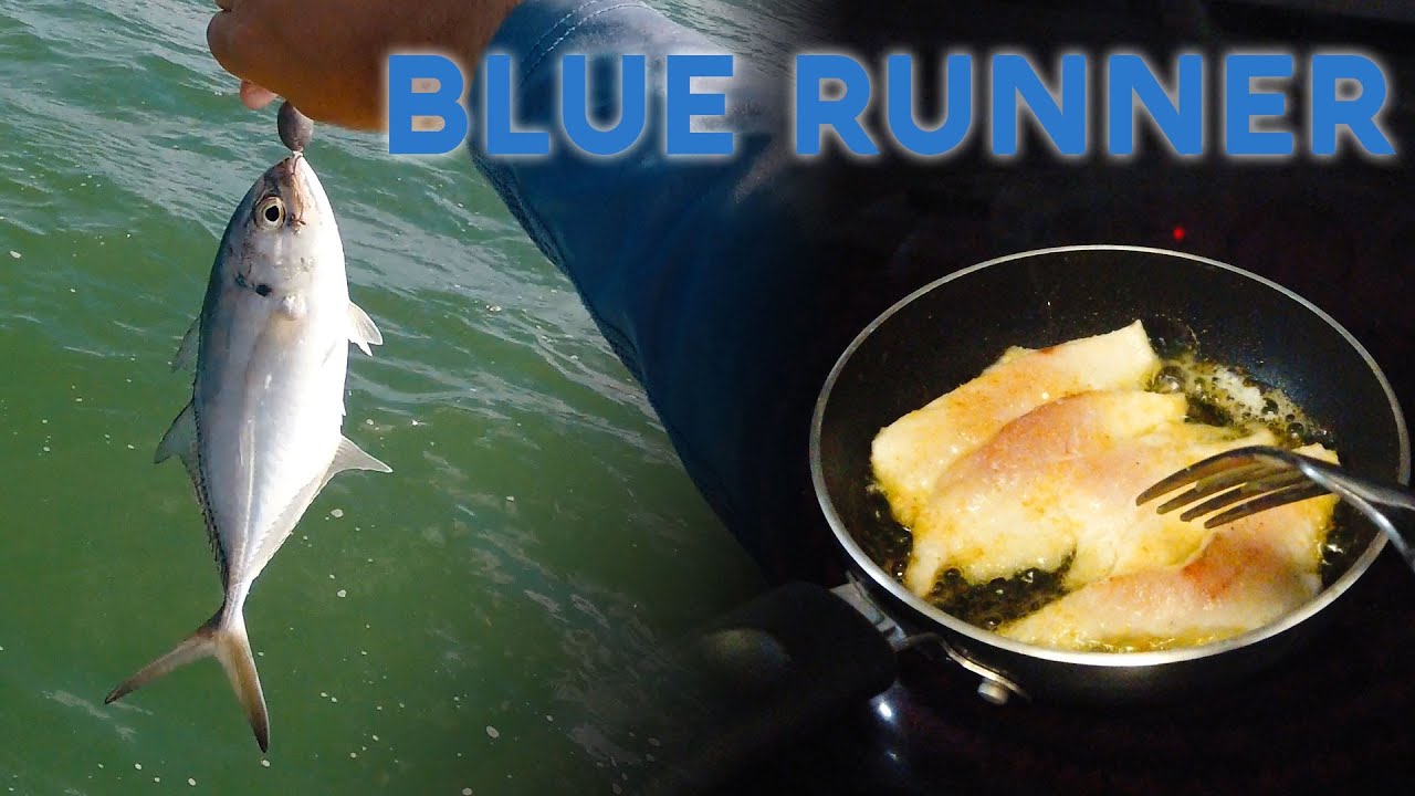 Eating Bait Fish - Blue Runner Catch and Cook - Slay n Filet - YouTube