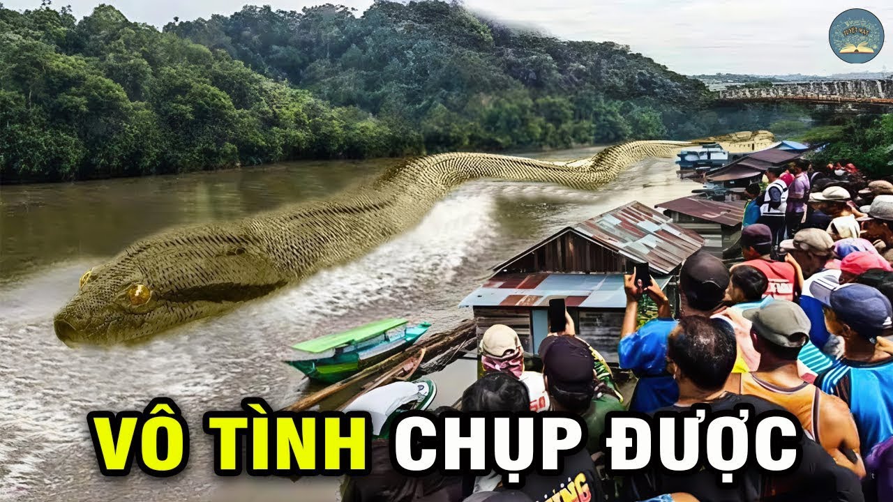 Những Gì Họ Bắt Được Ở Một Con Sông Đã Làm Chấn Động Toàn Thế Giới ...