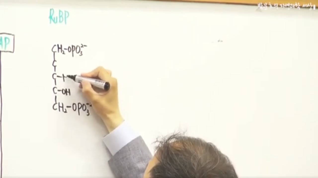 RU5P 분자식 (calvin cycle) - YouTube