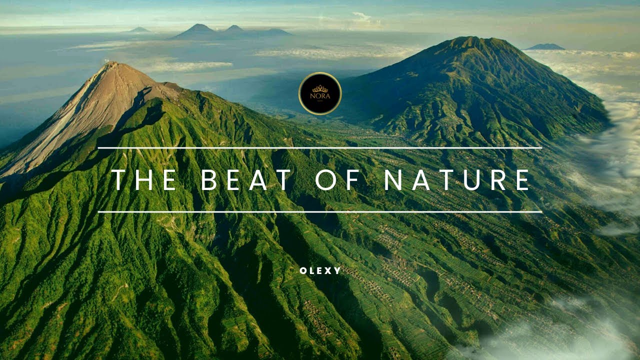 The Beat of Nature / Olexy / Relaxing Music / #noraqueen # ...