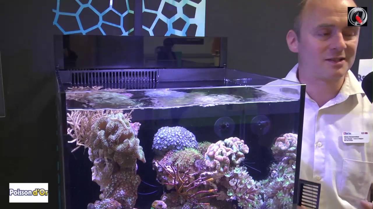 Interzoo 2016 Red Sea - YouTube