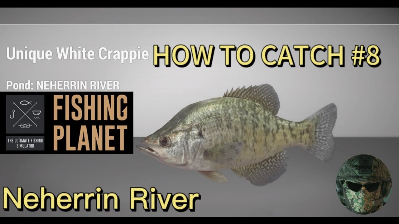 how to catch the Unique White Crappie at Neherrin River ( HOW TO CATCH ...