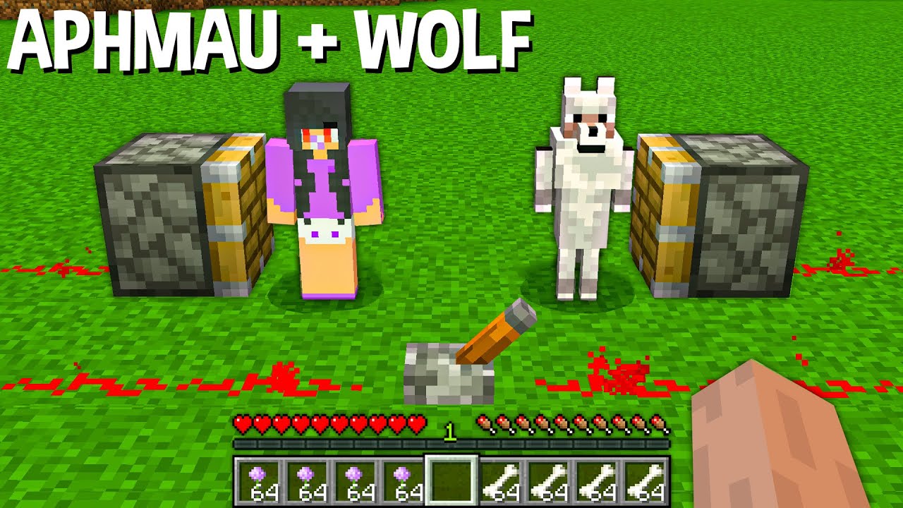 What HAPPENS if you COMBINE APHMAU GIRL AND ALPHA WOLF in Minecraft ...