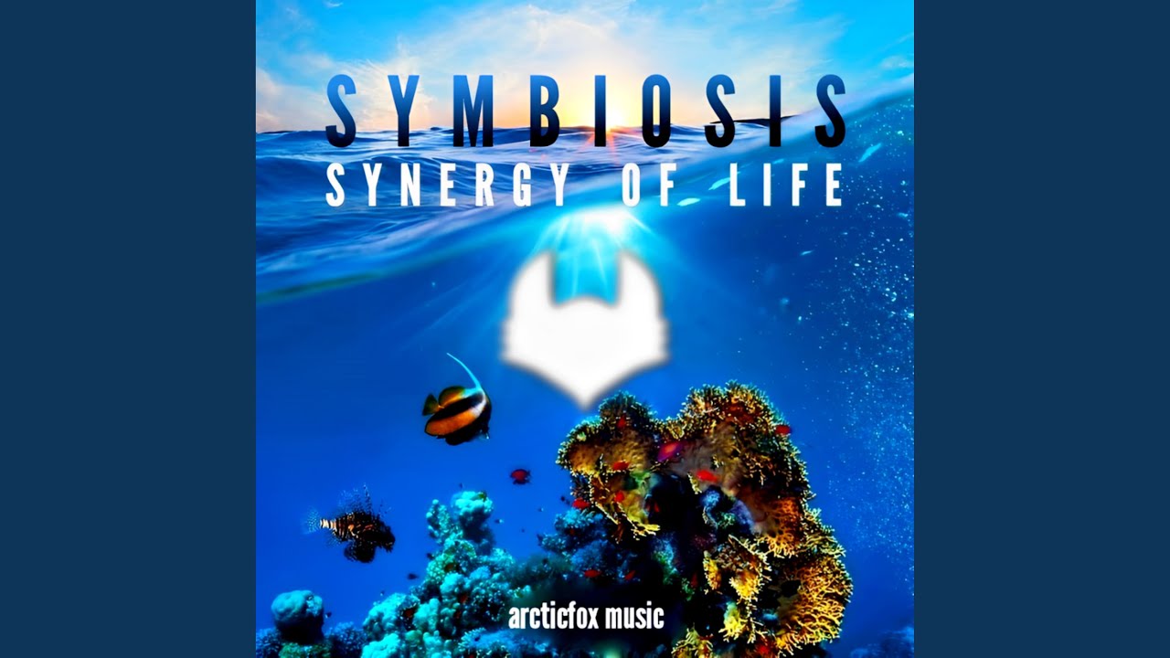 Symbiosis- Synergy of life - YouTube