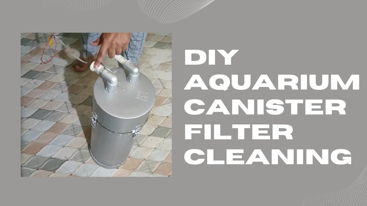 DIY Aquarium Canister filter cleaning - YouTube