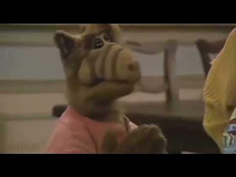 Alf compilation #ALF alf best moments alf tv show Alf - YouTube