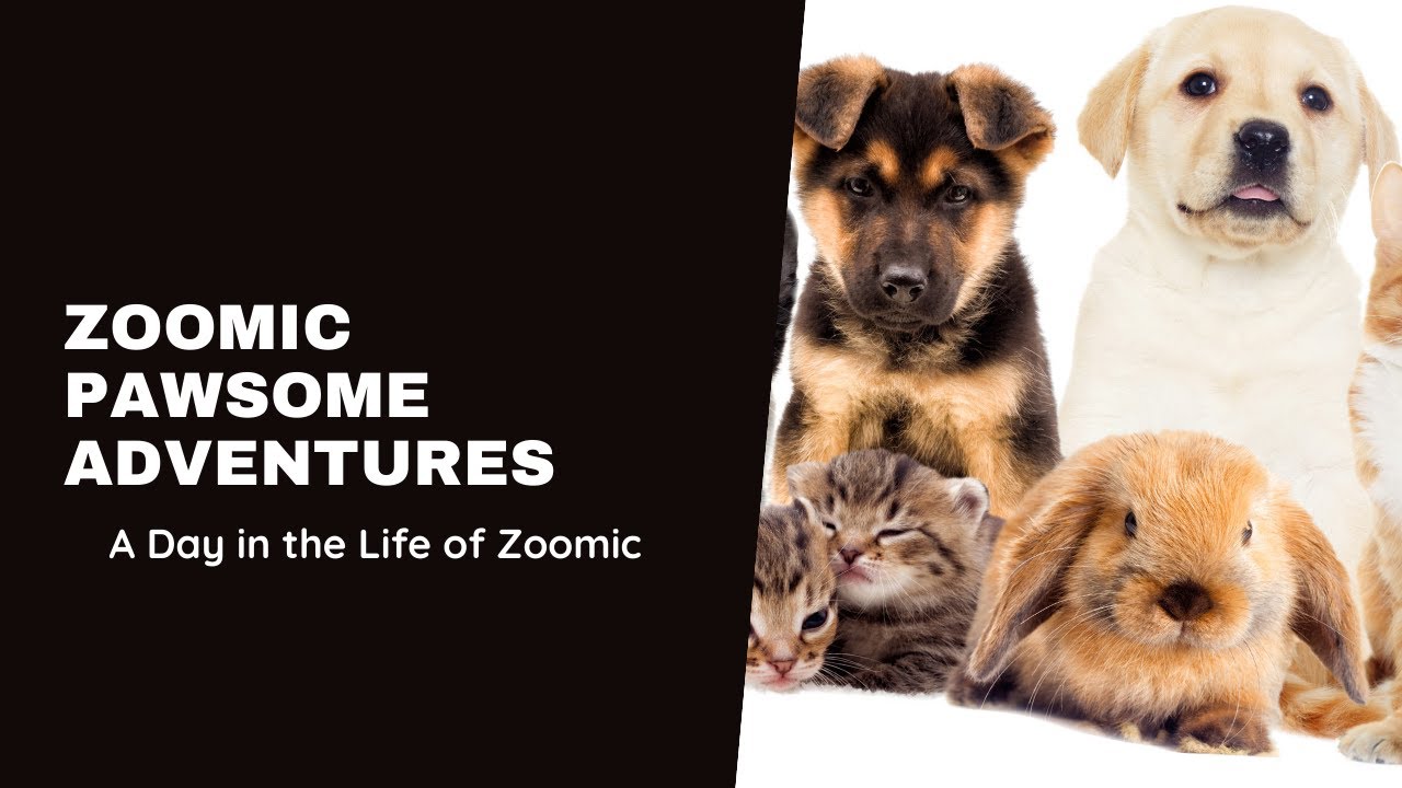 Zoomic pawsome adventures - YouTube