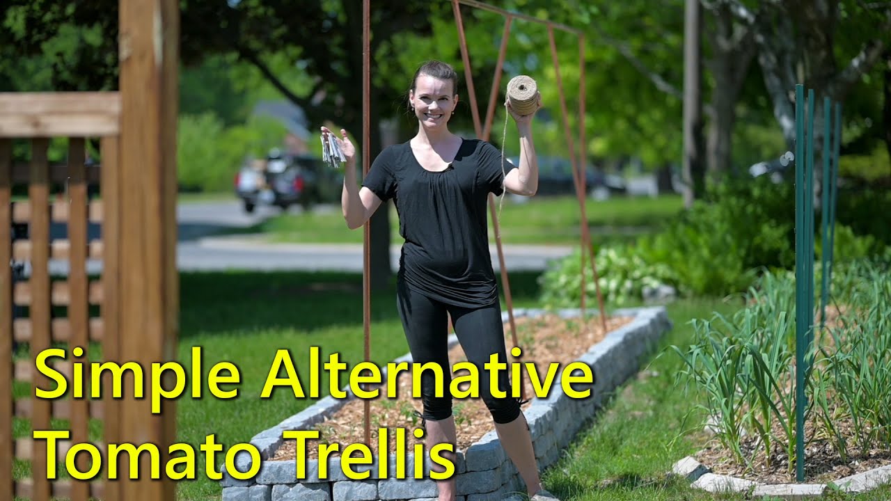 Tomato String Trellis - YouTube