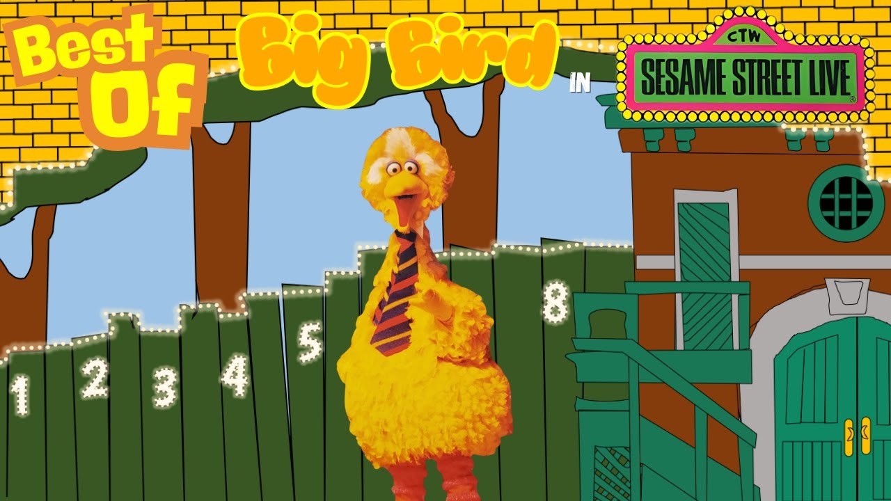 The Best of Big Bird in Sesame Street Live! 1989-2013 Compilation - YouTube
