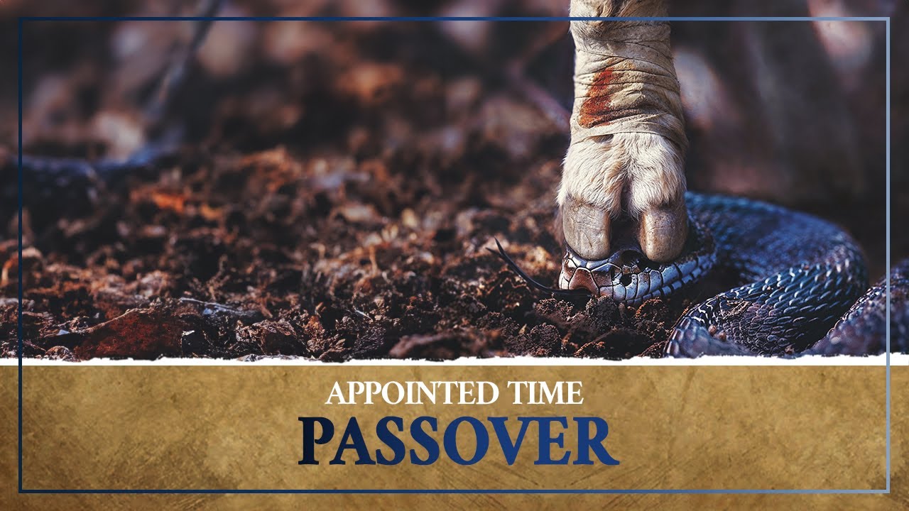 A Deeper Look Into The Prophetic Power of Passover - YouTube