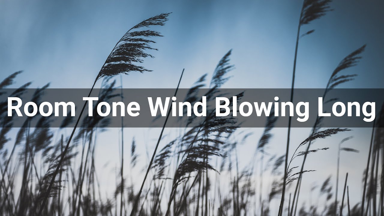 Room Tone Wind Blowing Long • Weather • Sounds Effects (No Copyright ...