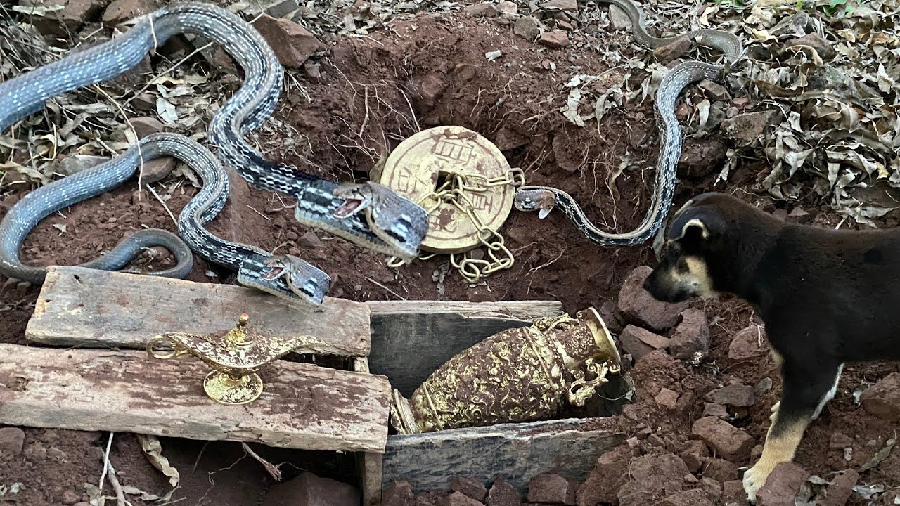TOP 5 Videos Brave Treasure Hunters Fight God Snakes To Get Treasure ...