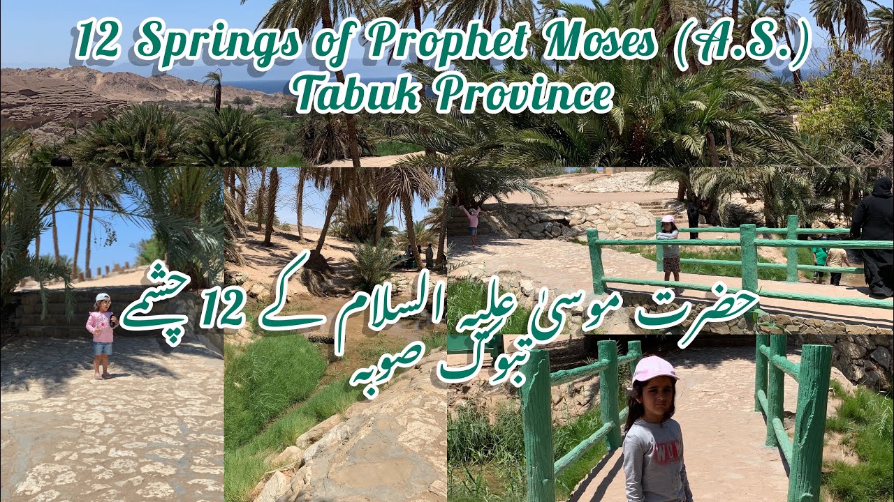 12 Springs of Prophet Moses (A.S.) | Tabuk Province حضرت موسیٰ علیہ السلام کے 12 چشمے | تبوک ...