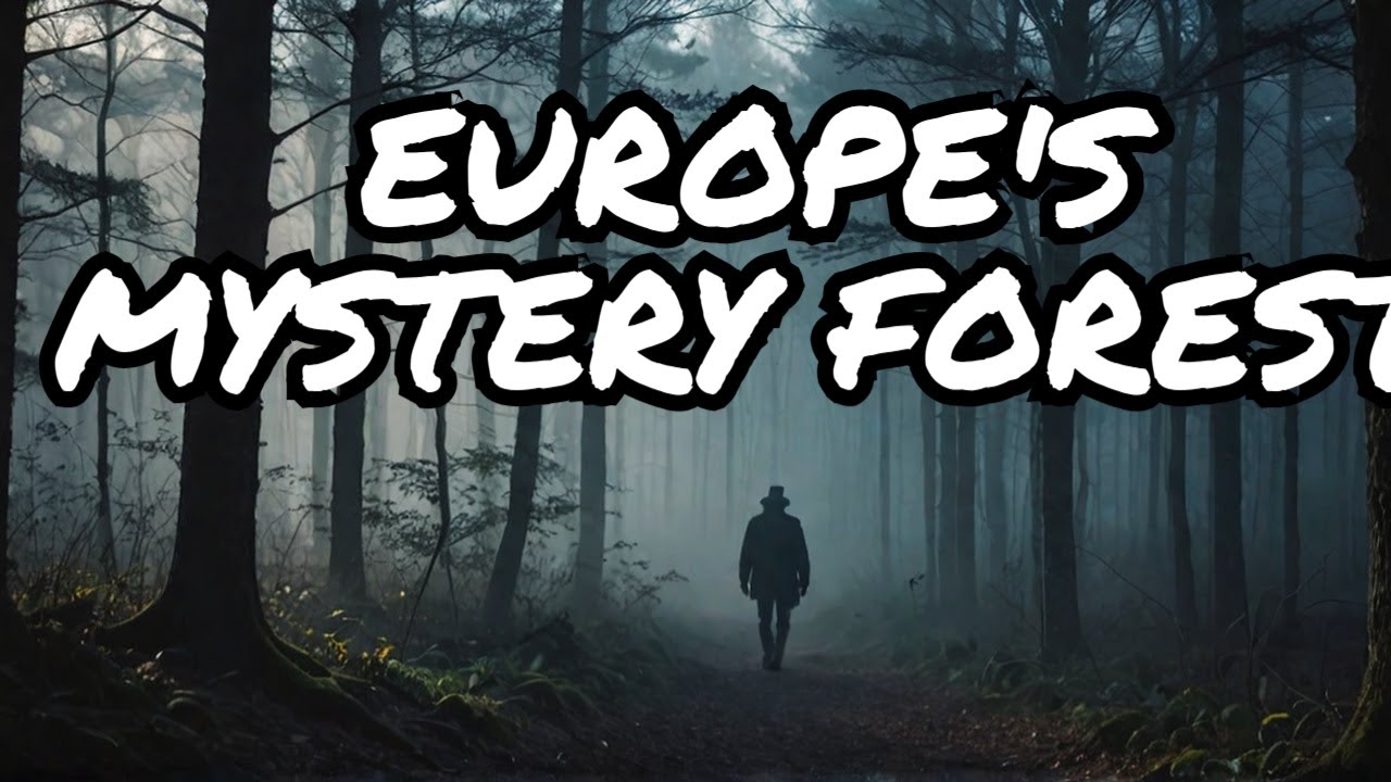 Hoia Baciu Forest: Europe's Bermuda Triangle Where People Vanish 🌲🔍 # ...