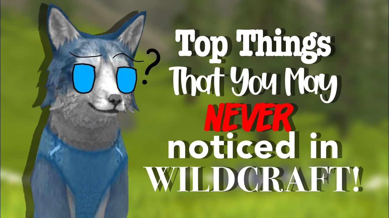 - WildCraft - Top Things That You May NEVER noticed! 🧐 - YouTube