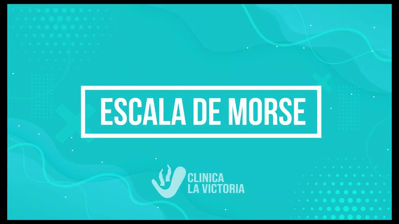 Escala De Morse Para Que Serve - REVOEDUCA