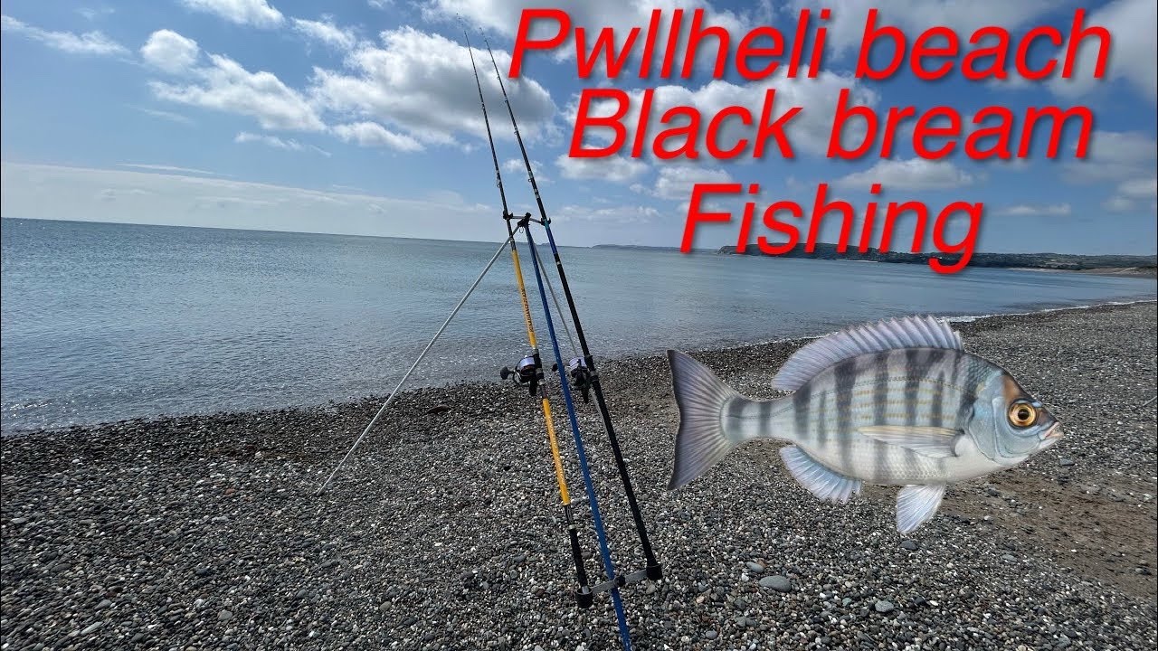 Beach Fishing Pwhelli For Black Bream - YouTube