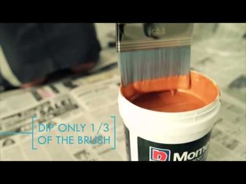 Momento Tips & Tools - YouTube