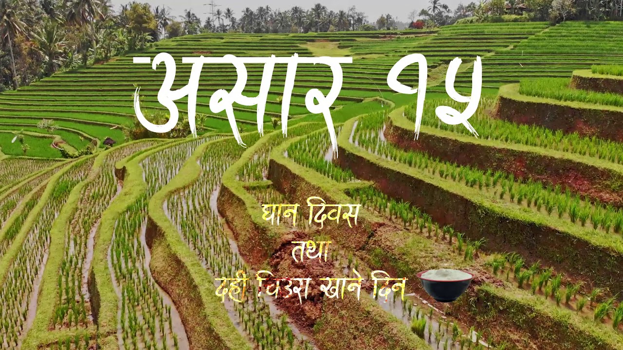 15th Ashar dahi chiura khane din (dhan diwas) - YouTube
