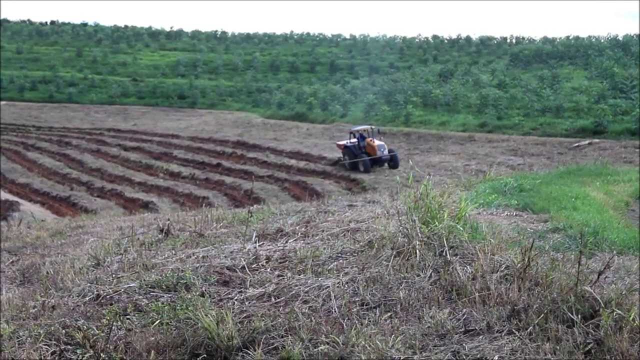 Preparo de solo com um subsolador florestal - YouTube