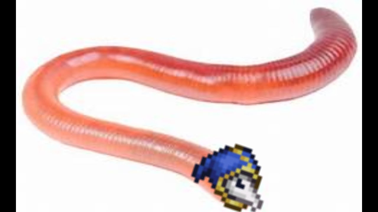 Calamity mod has reached a new low - YouTube