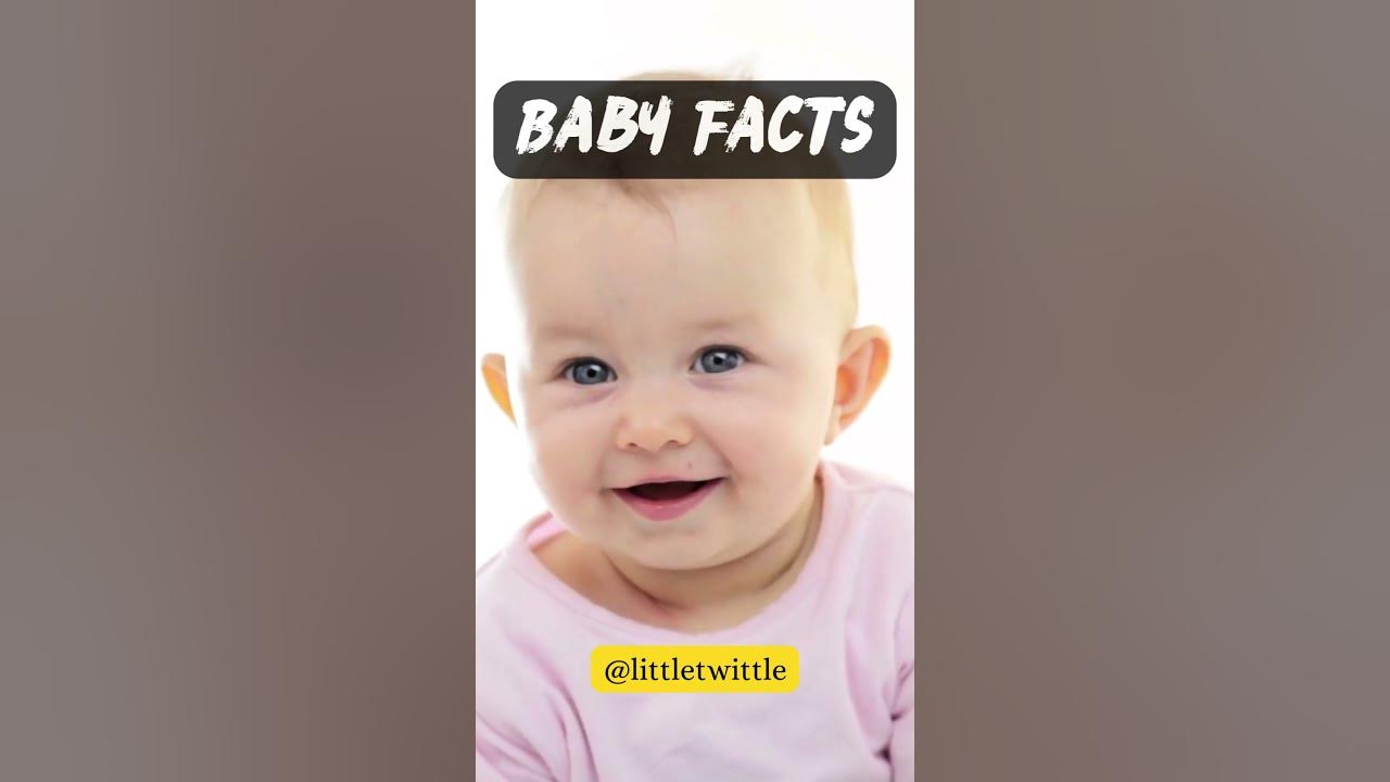 Baby Facts 15 facts amazingfacts factsshorts babyshorts baby baby-facts-15-facts-amazingfacts-factsshorts-babyshorts-baby