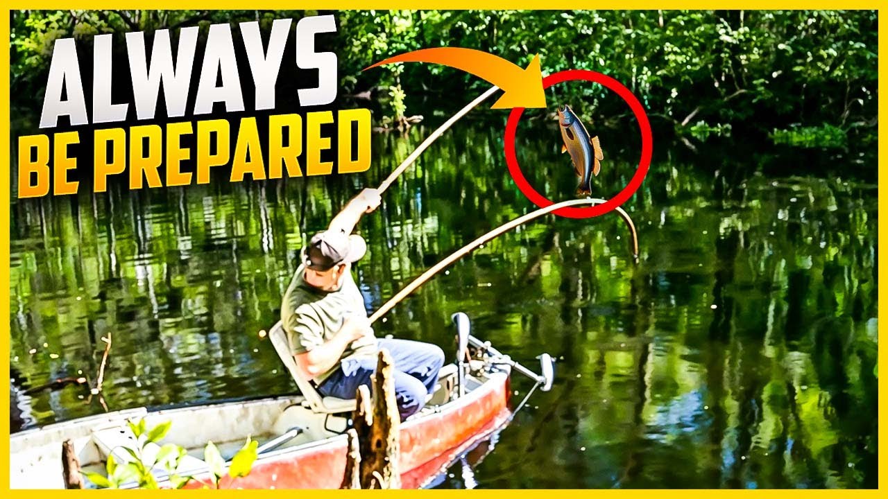 BLUEGILL fishing in a river swamp {Catch, Clean, Cook} This BIG fish is ...