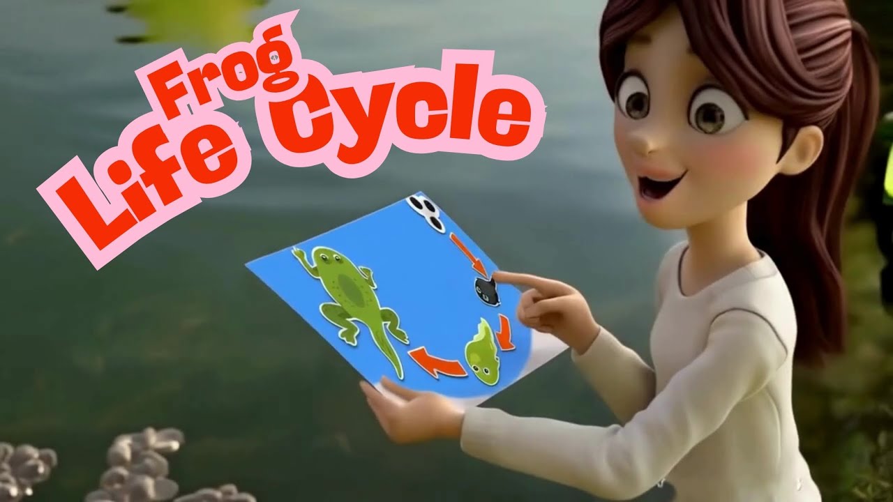 The Ribbiting Life Cycle of Frogs - YouTube