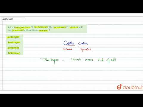 In the zoological name of fish Catla catla, the specific name is identical with the generic name...
