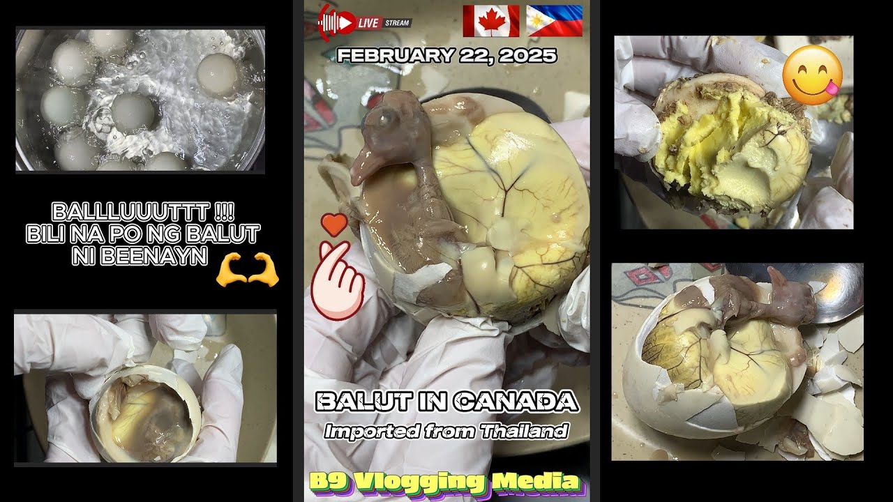 BALUT Philippine Exotic Food Featured in FEAR FACTOR SHOW Hosted by Joe ROGAN Balut/Duck eggs ...