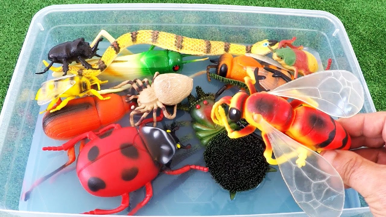 Best Insect Toys For Kids Learn Insect Bugs Education Video Learn ...