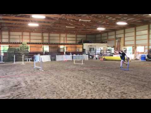 Kara and Cammi VT Chances 6/6/17