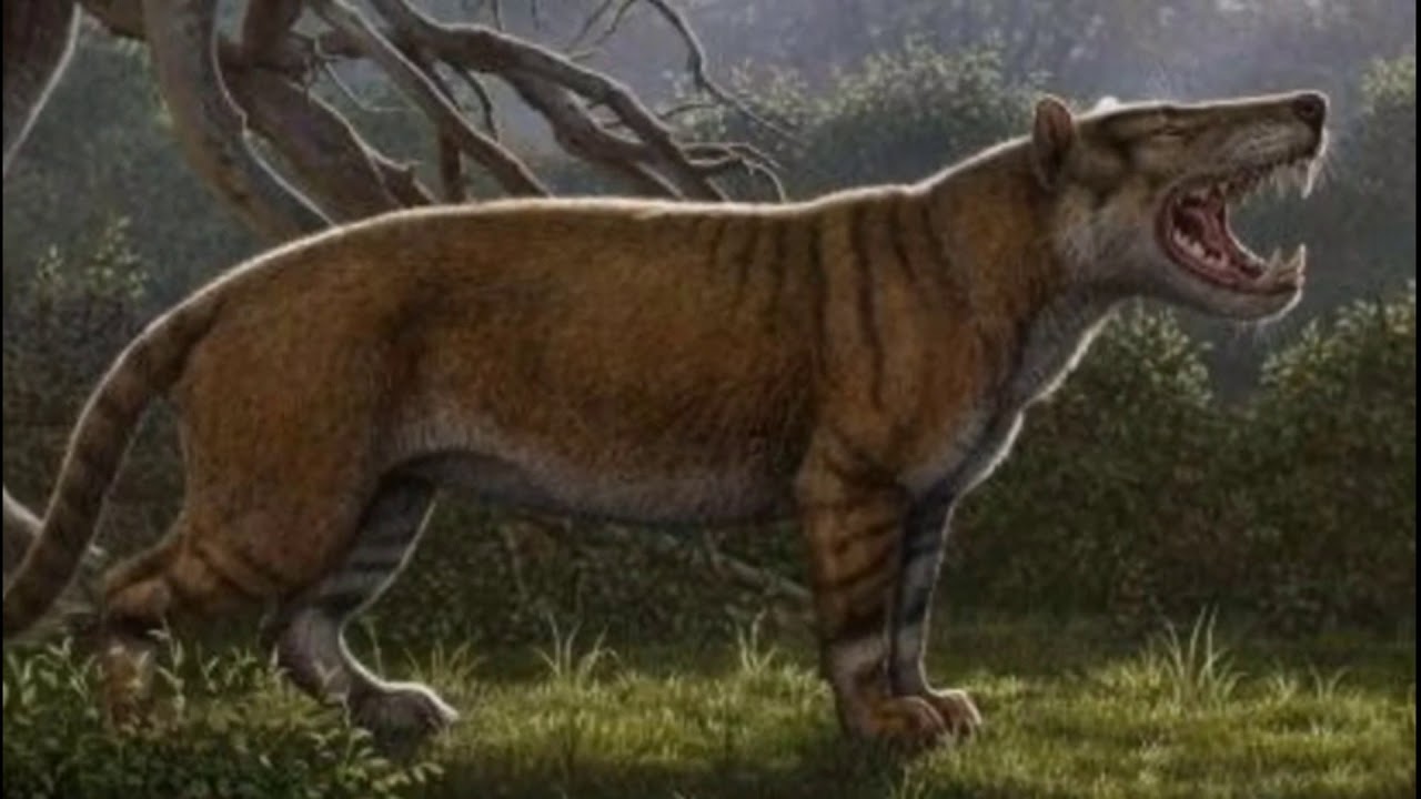 NUEVO LEÓN PREHISTÓRICO EXTINTO DESCUBIERTO EN EL 2019 - YouTube