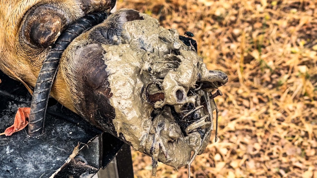 40!! Incredible!! Wash the mud - cut, trim and removing the screw with ...