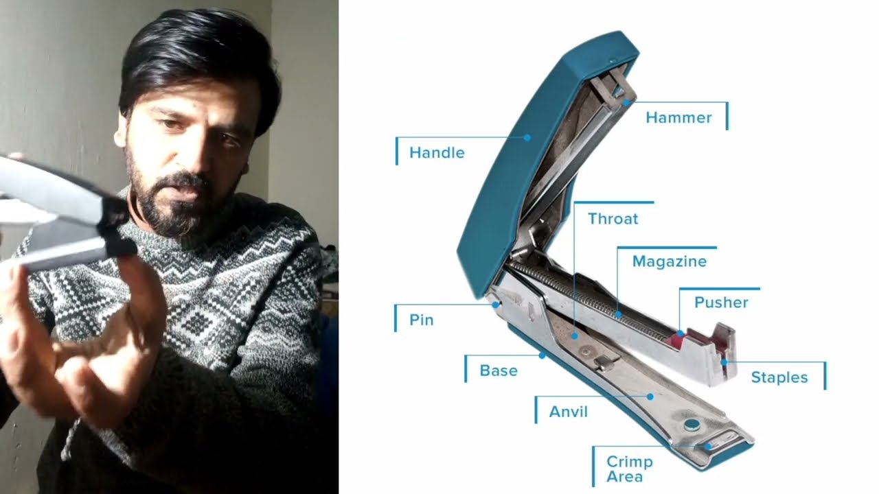 Anatomy Of A Stapler Stapled Hemorrhoidectomy: A Comprehensive Guide