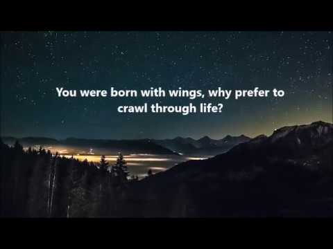 Quotes by Rumi About Fear & Other Things - YouTube