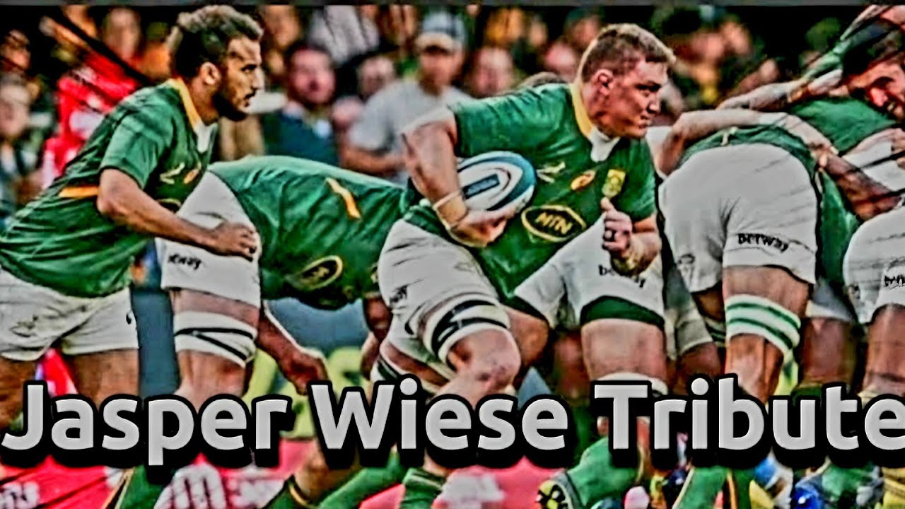 Jasper Wiese Tribute - Springboks Eighth man 8 Rugby 🏉 Player - Big ...