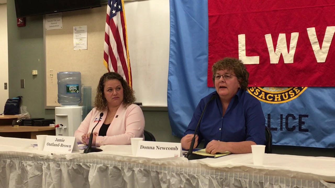 Donna Newcomb on why she is running for Chelmsford School Committee ...