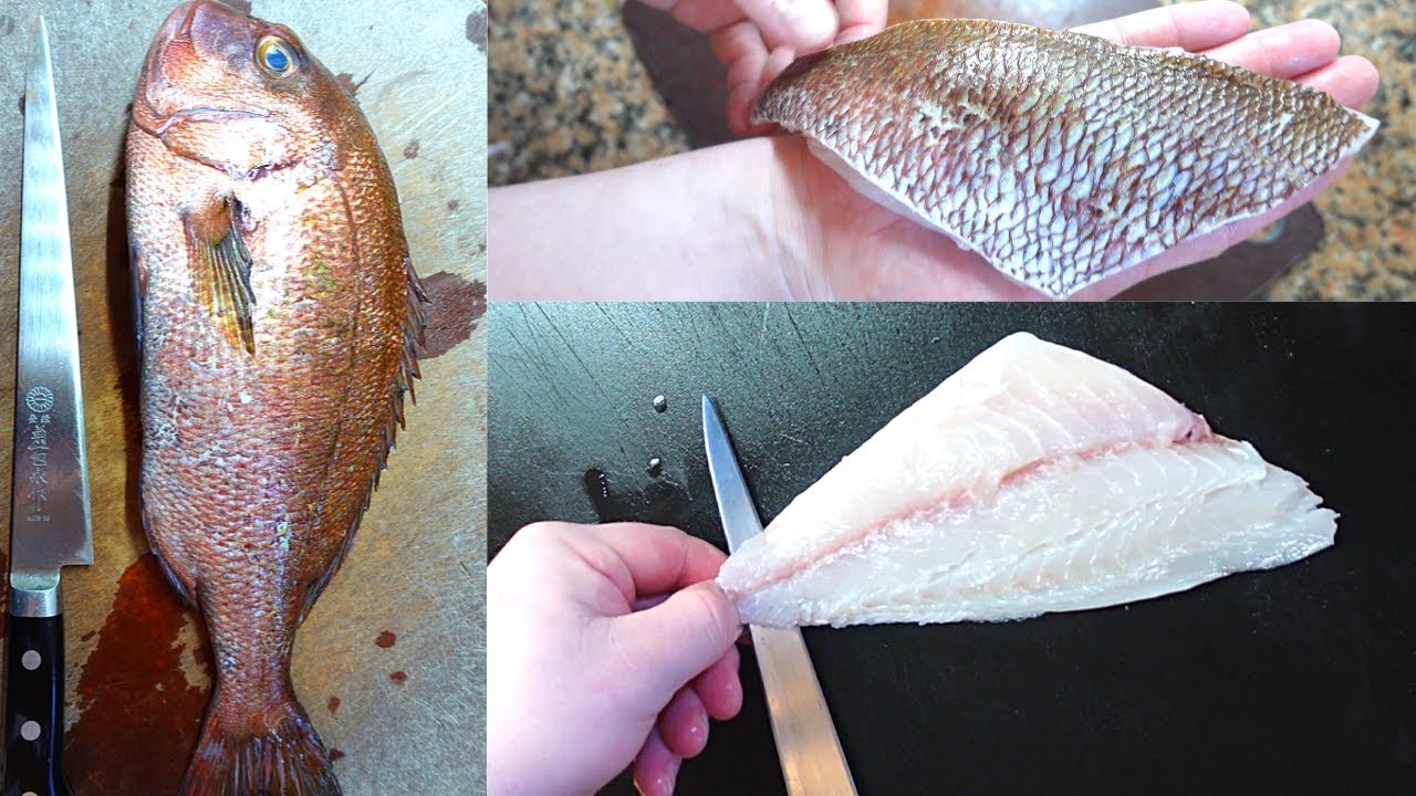 #TECNIQUES How to clean and prepare any round fish! - YouTube