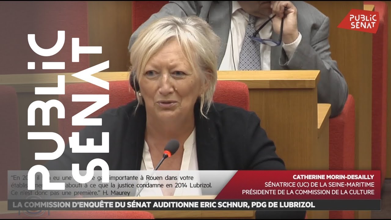 Lubrizol : Plusieurs sénateurs interloqués par le discours optimiste du ...