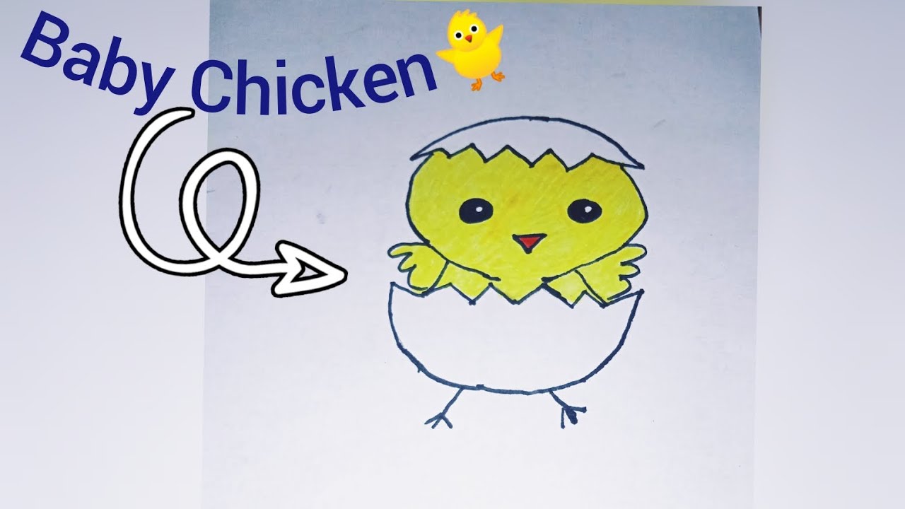Baby Chicken 🐥 Drawing with pensil 📝 ||How to draw baby Chicken - YouTube