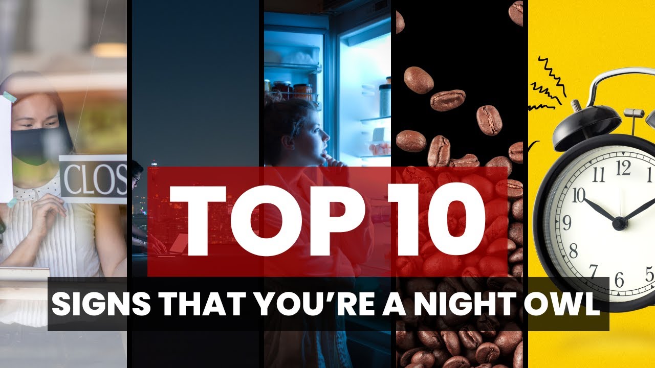 Top 10 Signs You're A Night Owl | Embracing the Night Owl Lifestyle ...