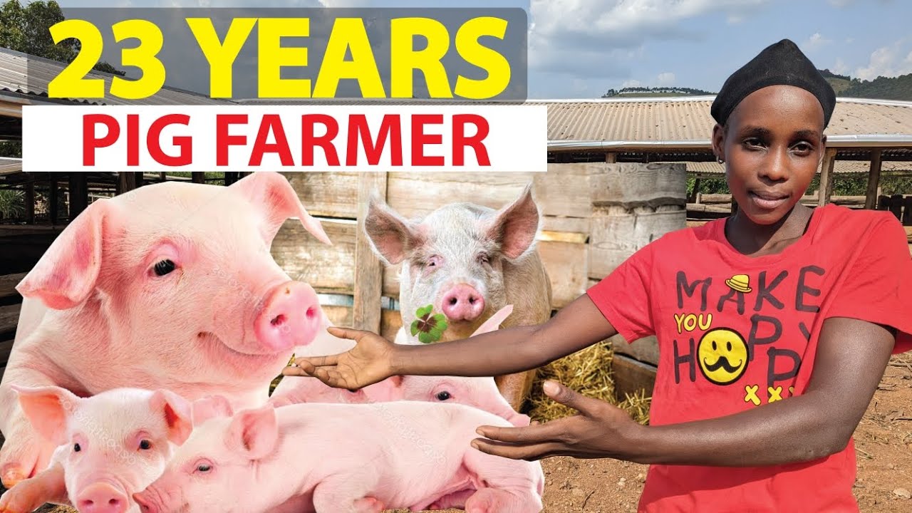 How she became a successful pig farmer at a young age in Africa. - YouTube