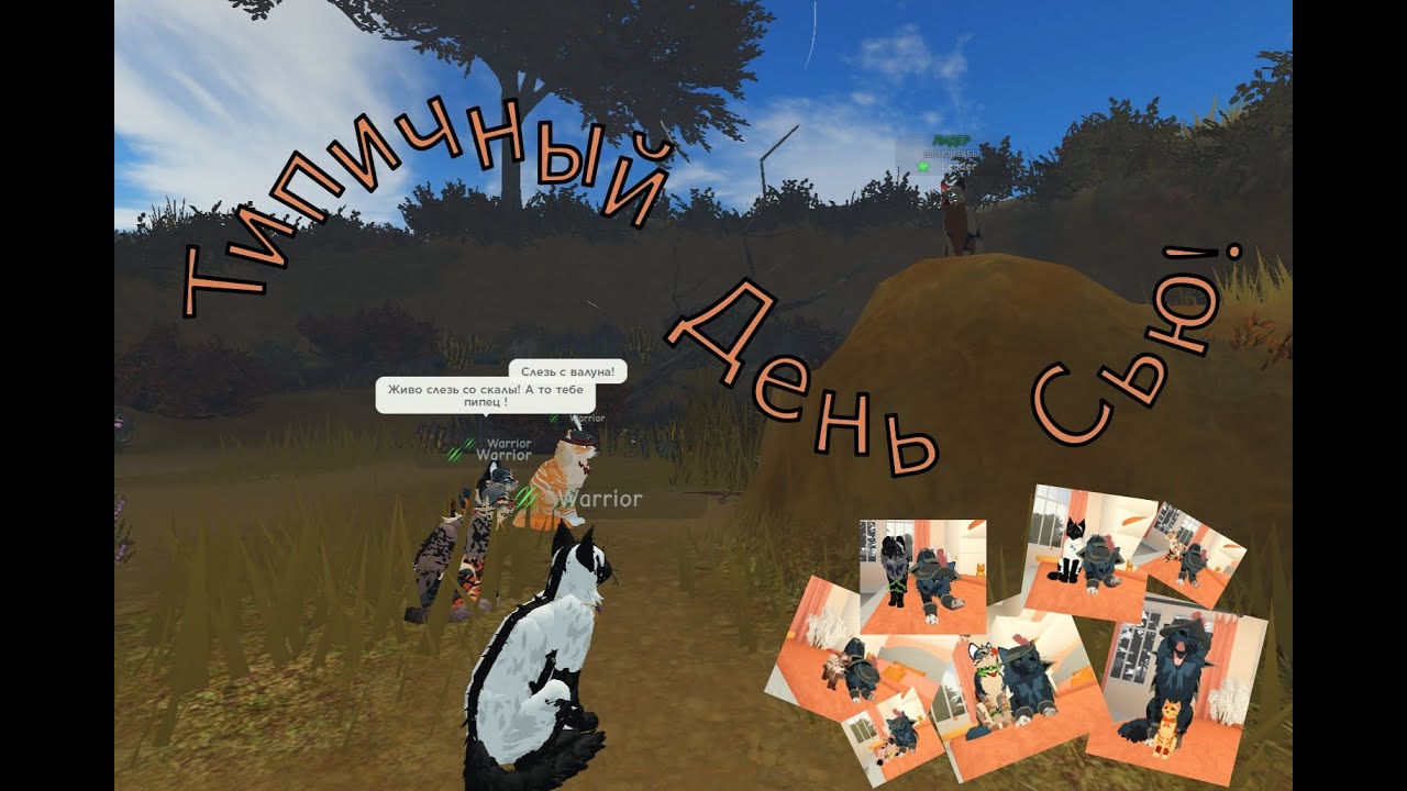 ТИПИЧНЫЙ ДЕНЬ СЬЮ В КОТАХ ВОИТЕЛЯХ Roblox Youtube